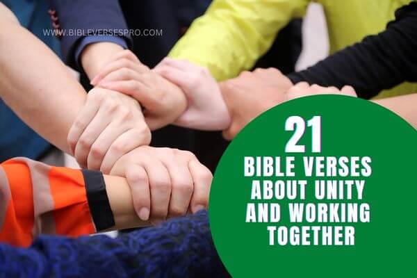 21 Bible Verses about Unity and Working Together