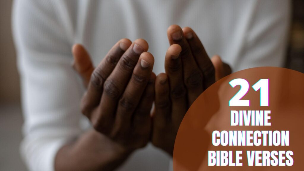 Examples Of Divine Connections In The Bible at Piper Blanc blog